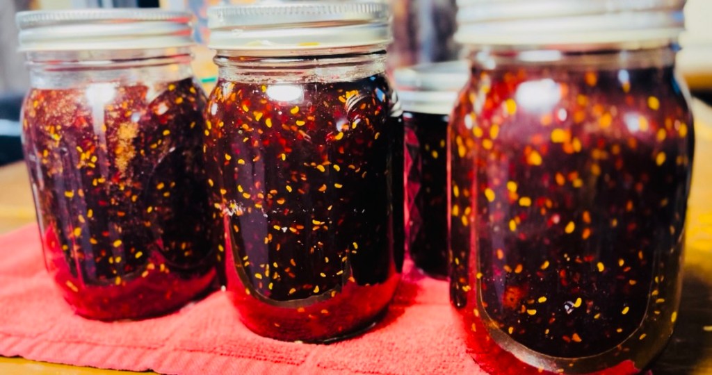 Raspberry Yule/ Christmas jam//Sourdough discard pop tarts, Crackers ...